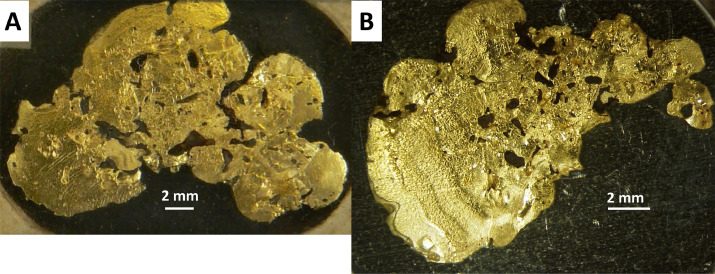 Pepite d'oro: come sono fatte, come si formano e quali sono le più ...