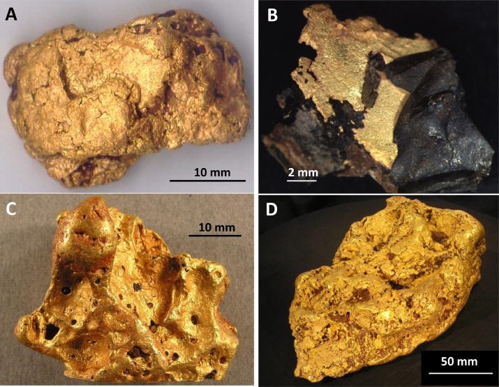 Pepite d'oro: come sono fatte, come si formano e quali sono le più ...