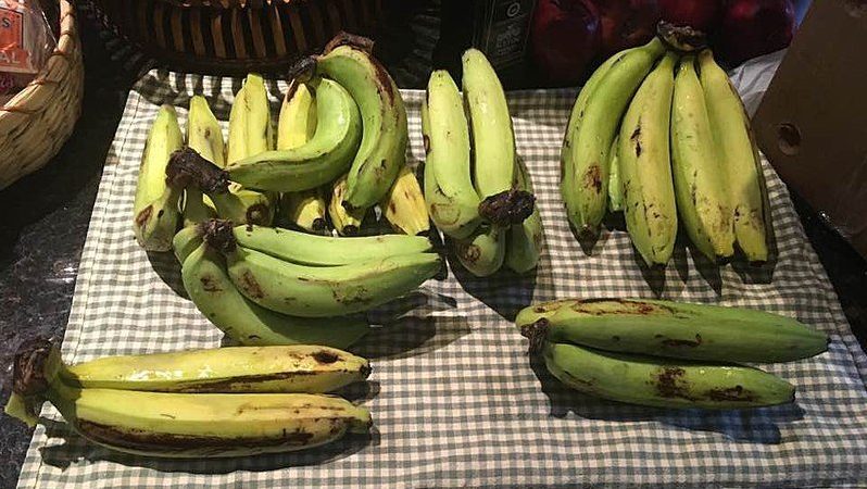 Tutte le banane sono cloni: una storia di varietà, malattie ed estinzioni